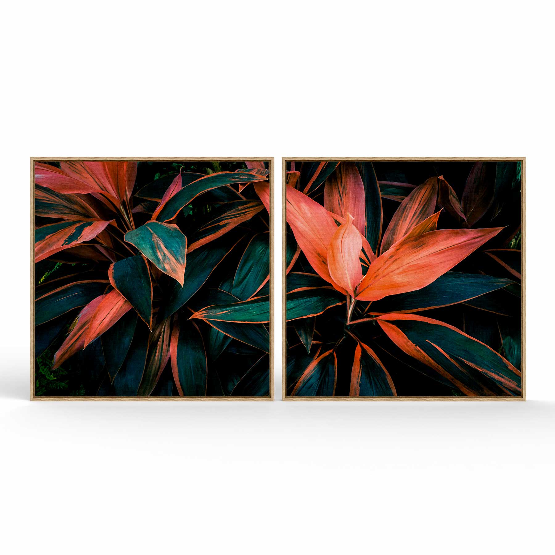 Kit 2 quadros quadrados - Coqueiro-de-Vênus - Liê Decor