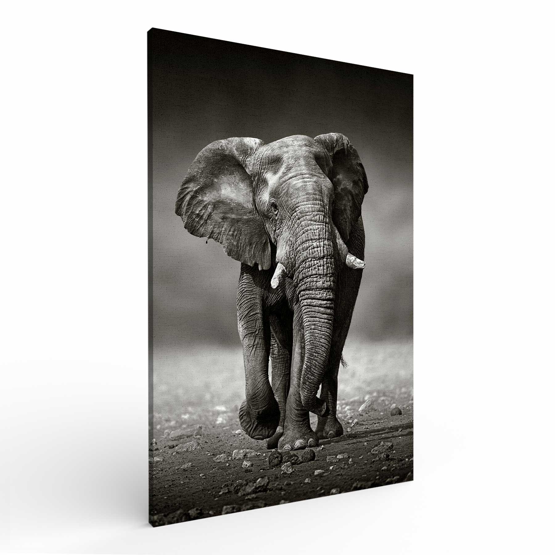 Quadro Retangular - Elefante Preto e Branco - Liê Decor