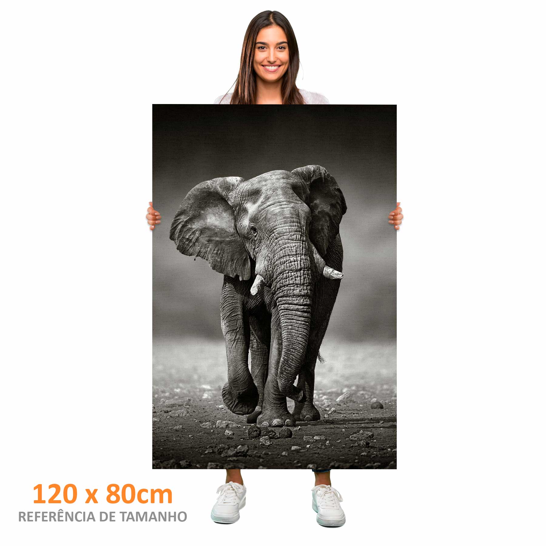 Quadro Retangular - Elefante Preto e Branco - Liê Decor