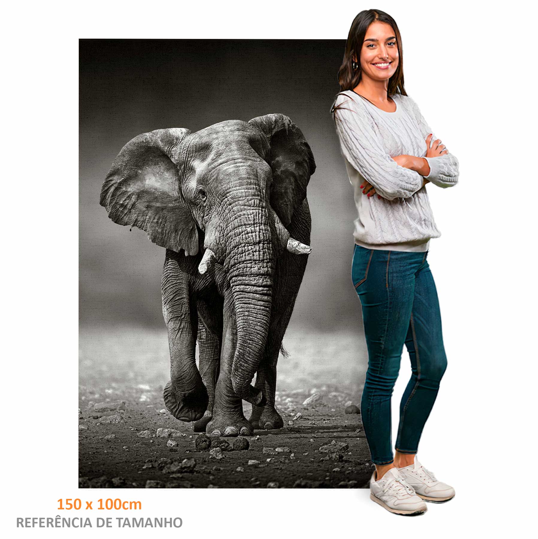 Quadro Retangular - Elefante Preto e Branco - Liê Decor