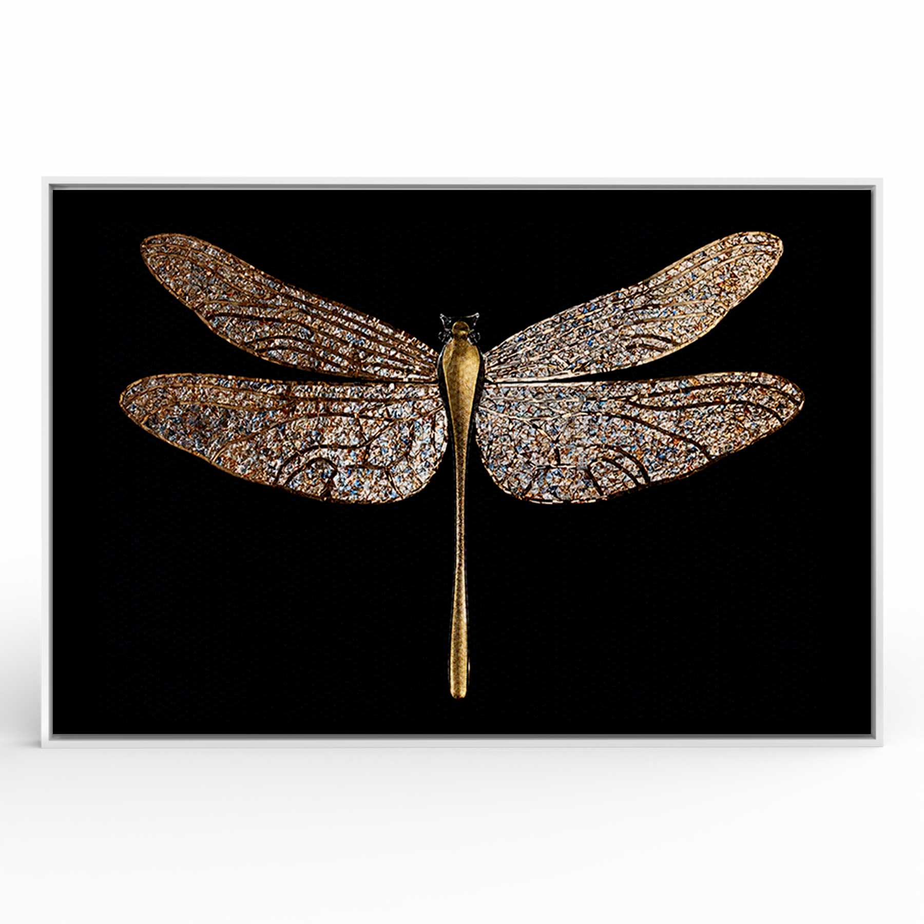 Quadro Retangular - Preciosa Libélula - Liê Decor